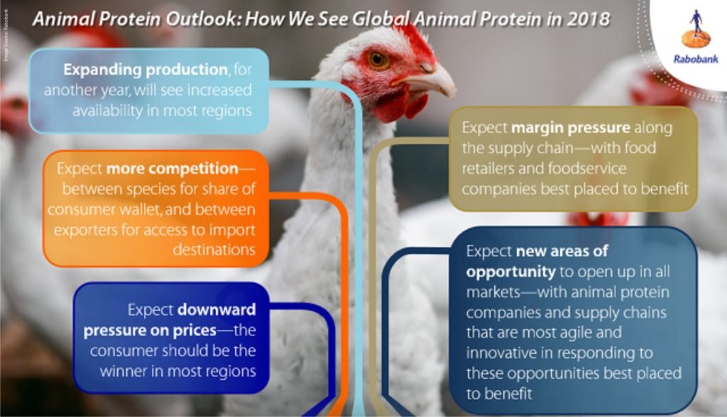Global Animal Protein Positive Outlook: Rabobank - Benison Media