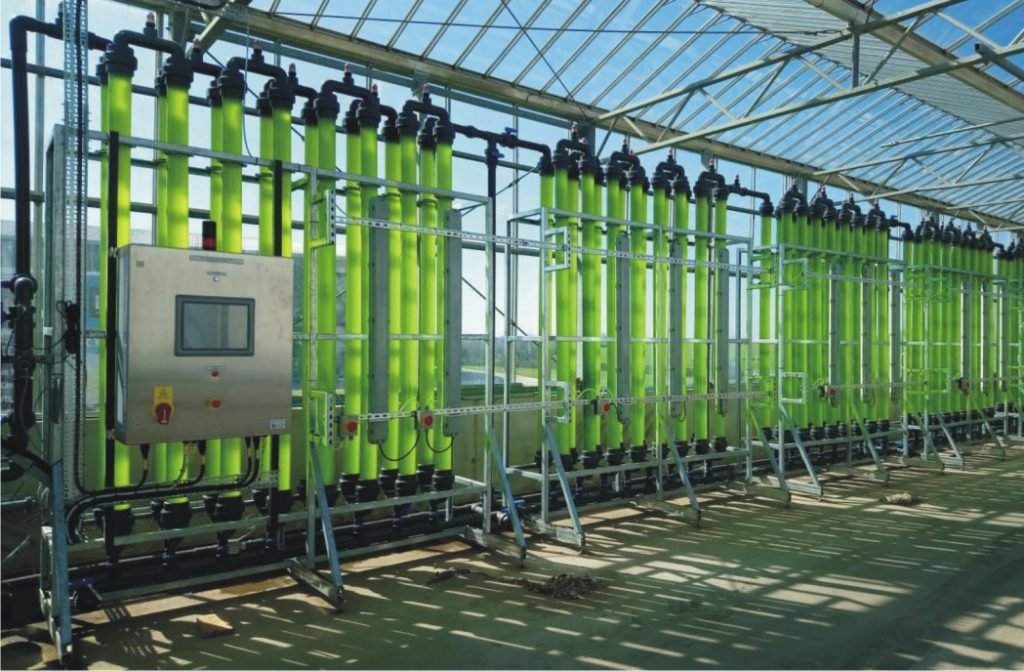 New Study Shows How Microalgae Could be Crucial to Circular Economy ...