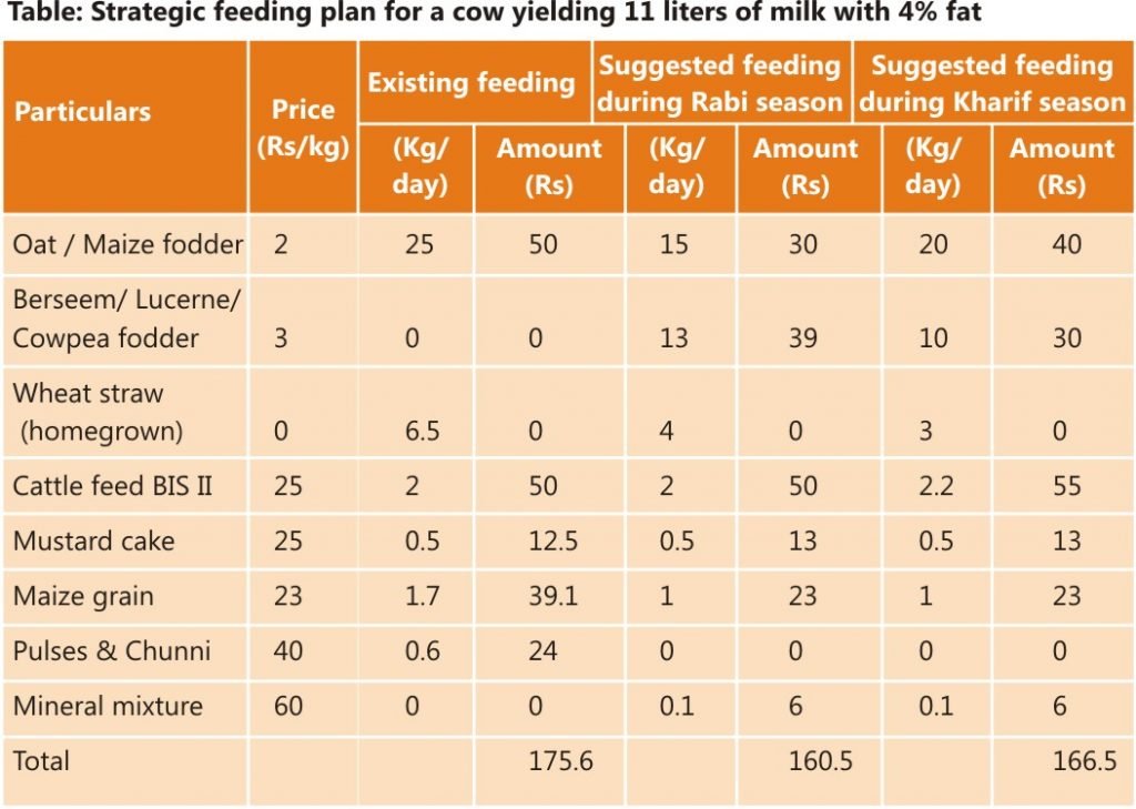 Feeding strategies for profitable dairying - Benison Media