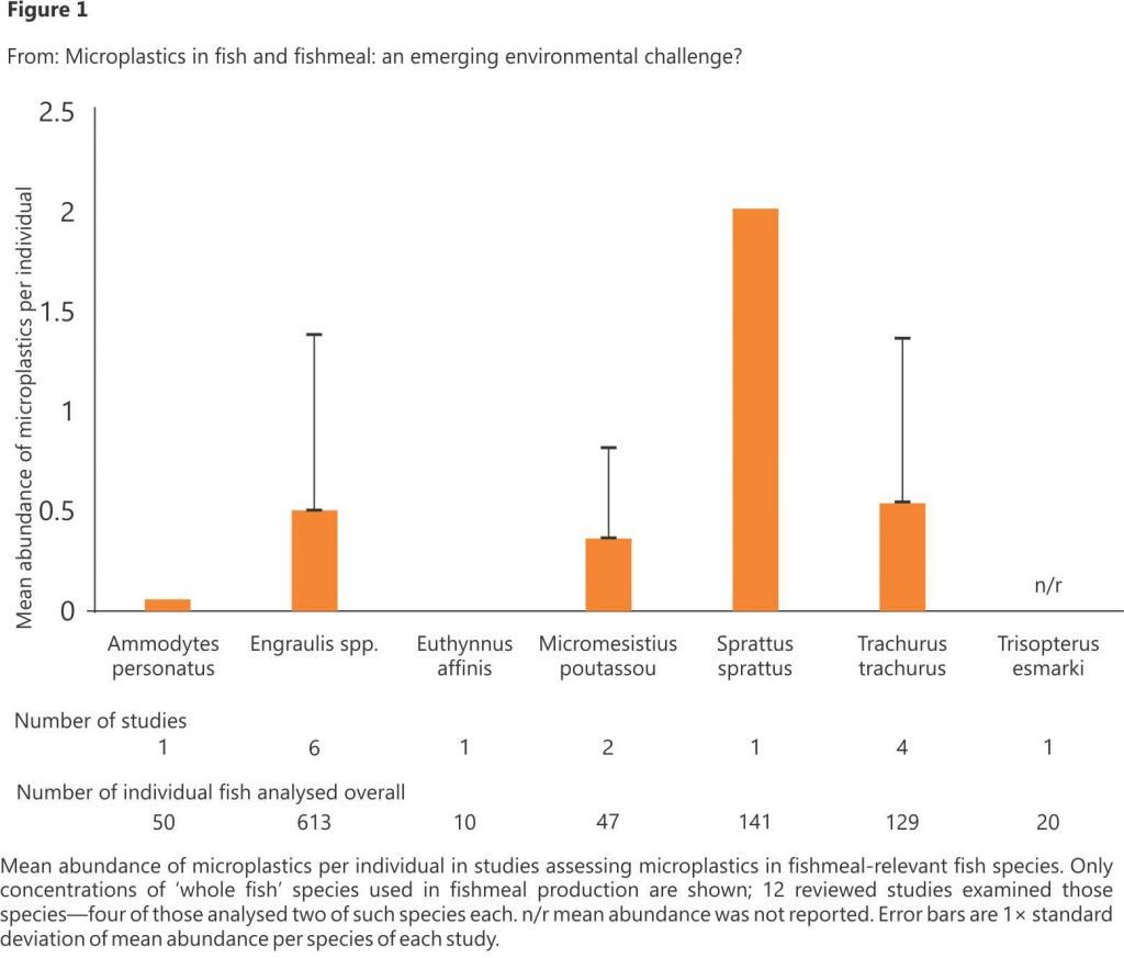 Microplastics in fishmeal: A growing concern - Benison Media