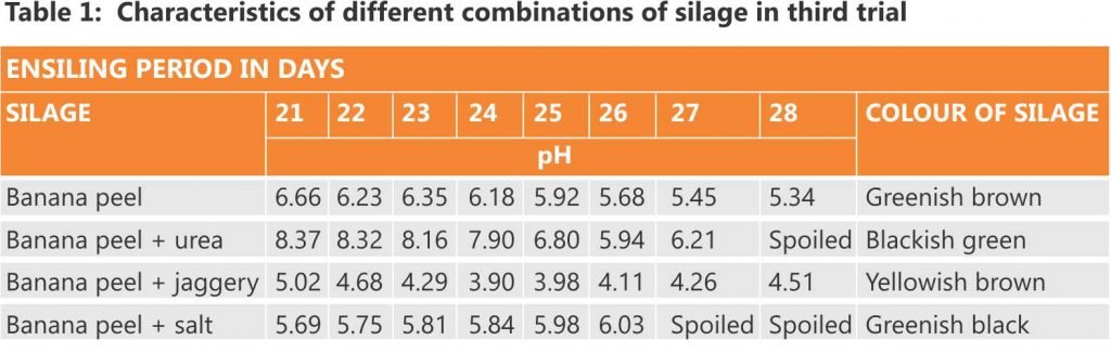 Raw Banana Peel Silage -A potential unconventional feed - Benison Media