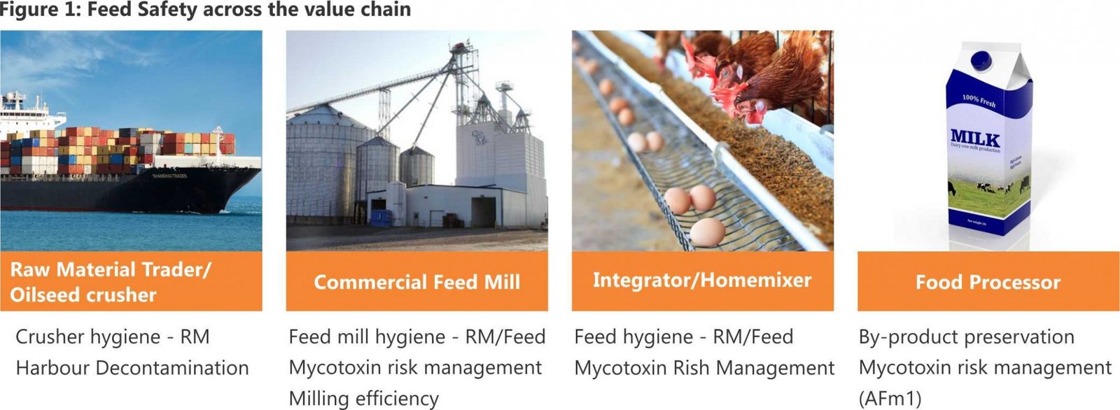 Feed Safety – Importance, Components and Ways to Ensure Safe Feed ...