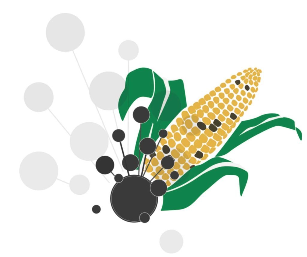Mycotoxin survey 2021: DSM - Benison Media