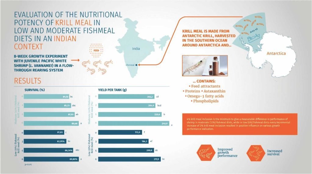 New Study reveals krill meal’s high potential for sustainable shrimp ...