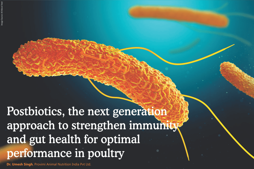 Postbiotics, the next generation approach to strengthen immunity and ...