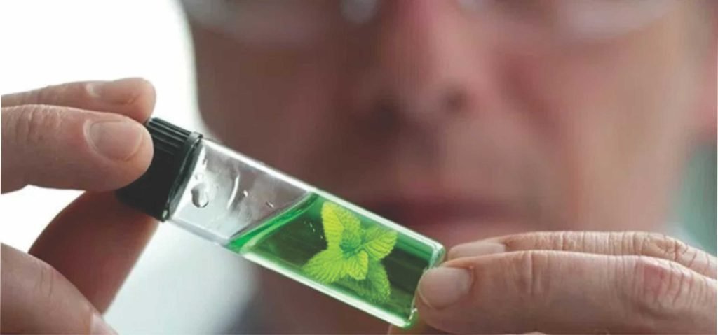 Phytogenics in India – Present and future trends - Benison Media