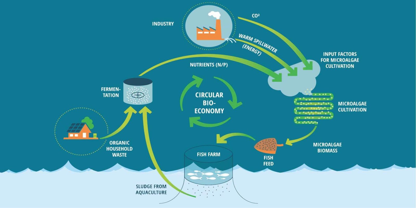 Converting fish waste into aqua feed - Benison Media