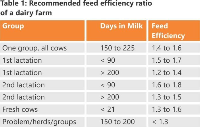 Feed Efficiency Improvement in Dairy Cows – An Opportunity - Benison Media