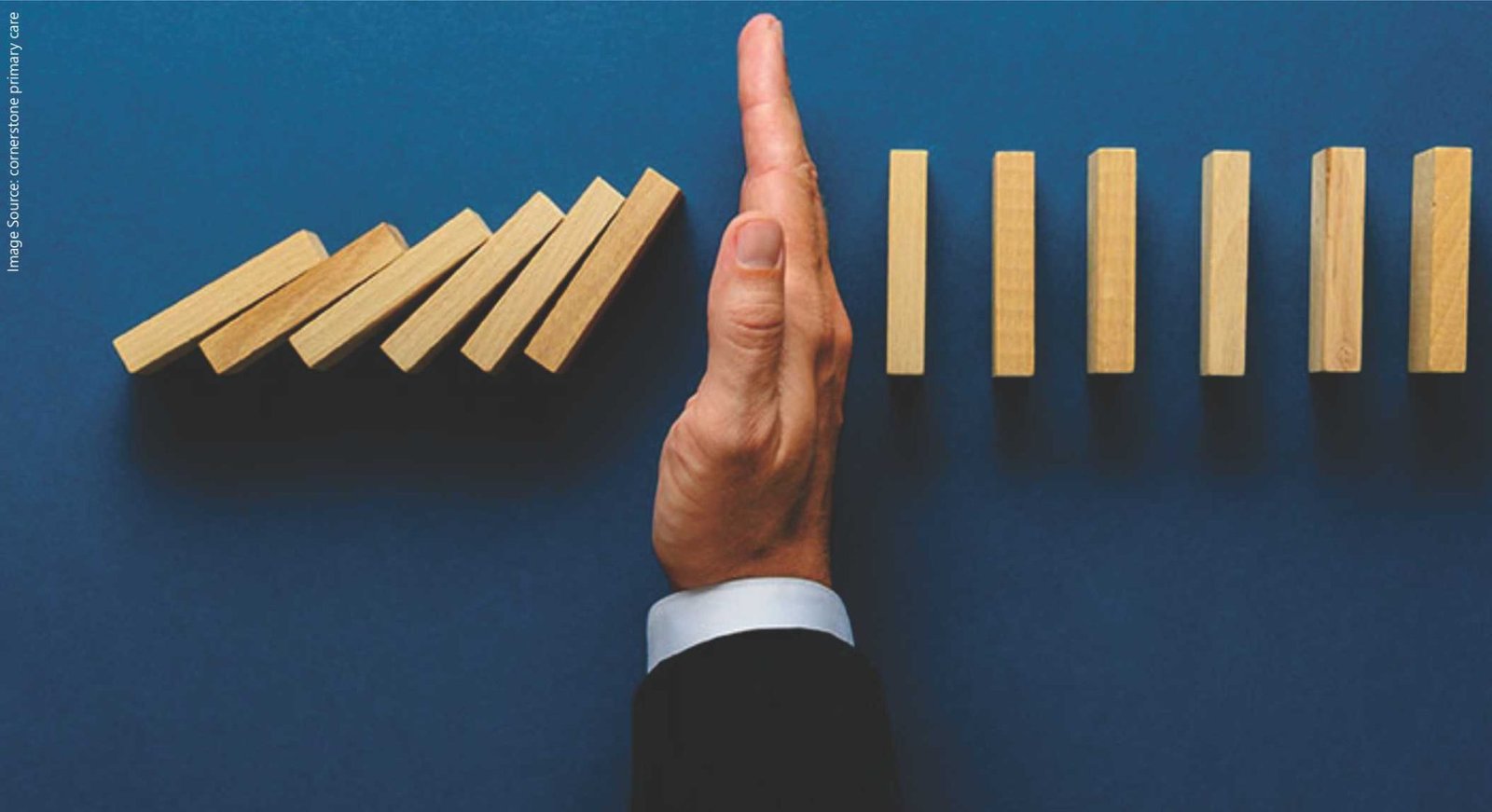 Preventive Strategies for Reducing Aflatoxins Levels in Animal Feeds ...