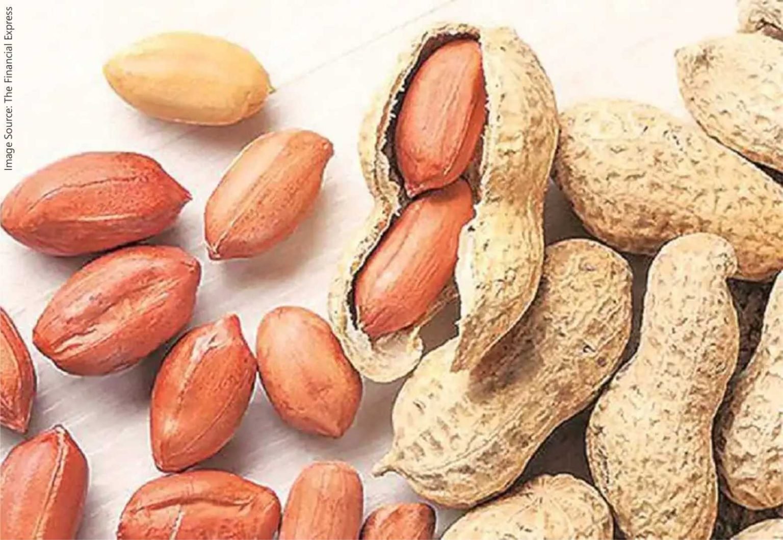 Robust Demand for Indian Groundnuts in SE Asia - Benison Media