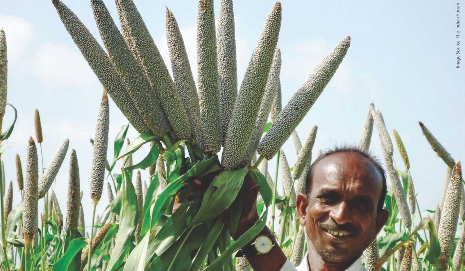 Millets Can Play a Key Role in Animal Feed - Benison Media
