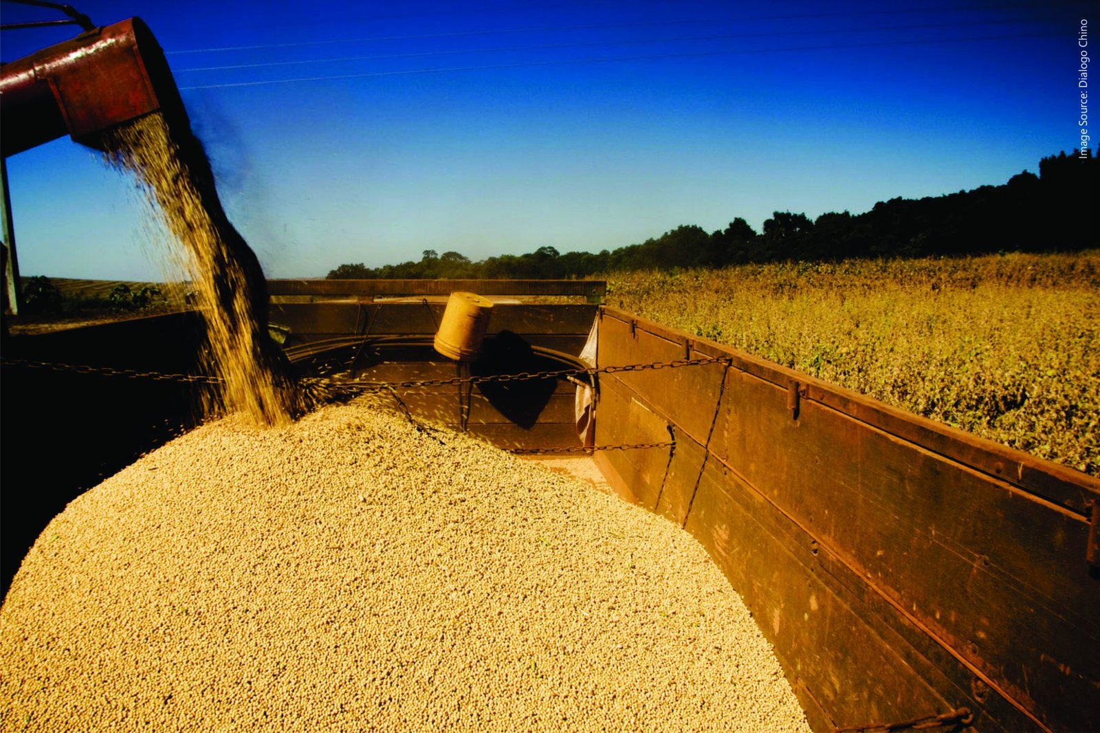 Soybean Trade Report 2023 of Two Largest Soybean Producers in South ...