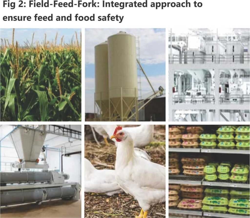 Feed Quality and Safety: Effective Strategies to Maintain Feed Quality ...