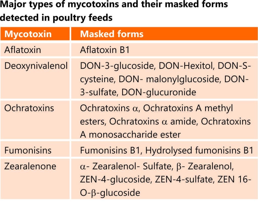 Integrated Approach for Mycotoxin and Gut Health Management in Poultry ...