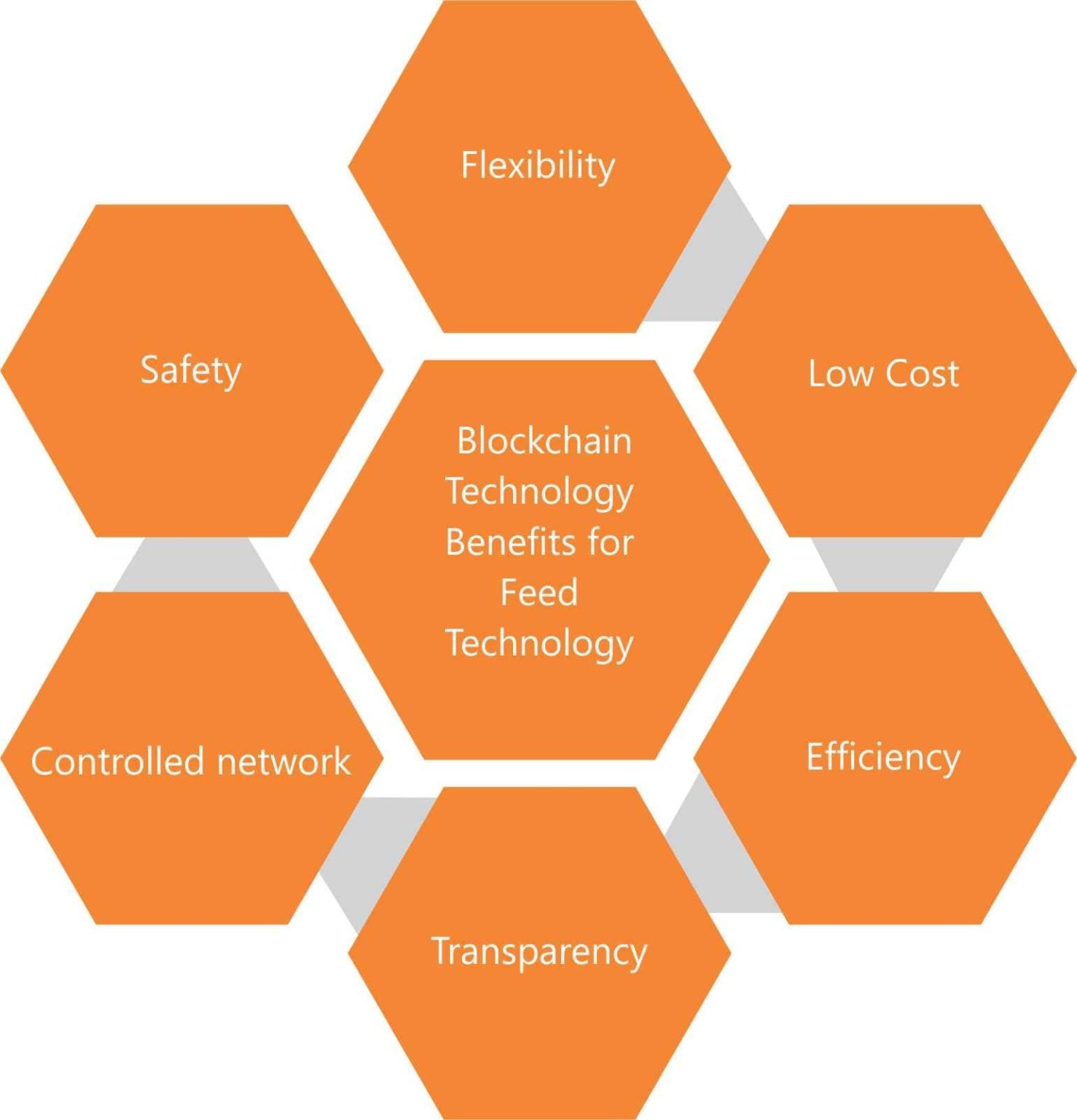 Future-Proofing Animal Nutrition: Trends in Feed Technology - Benison Media