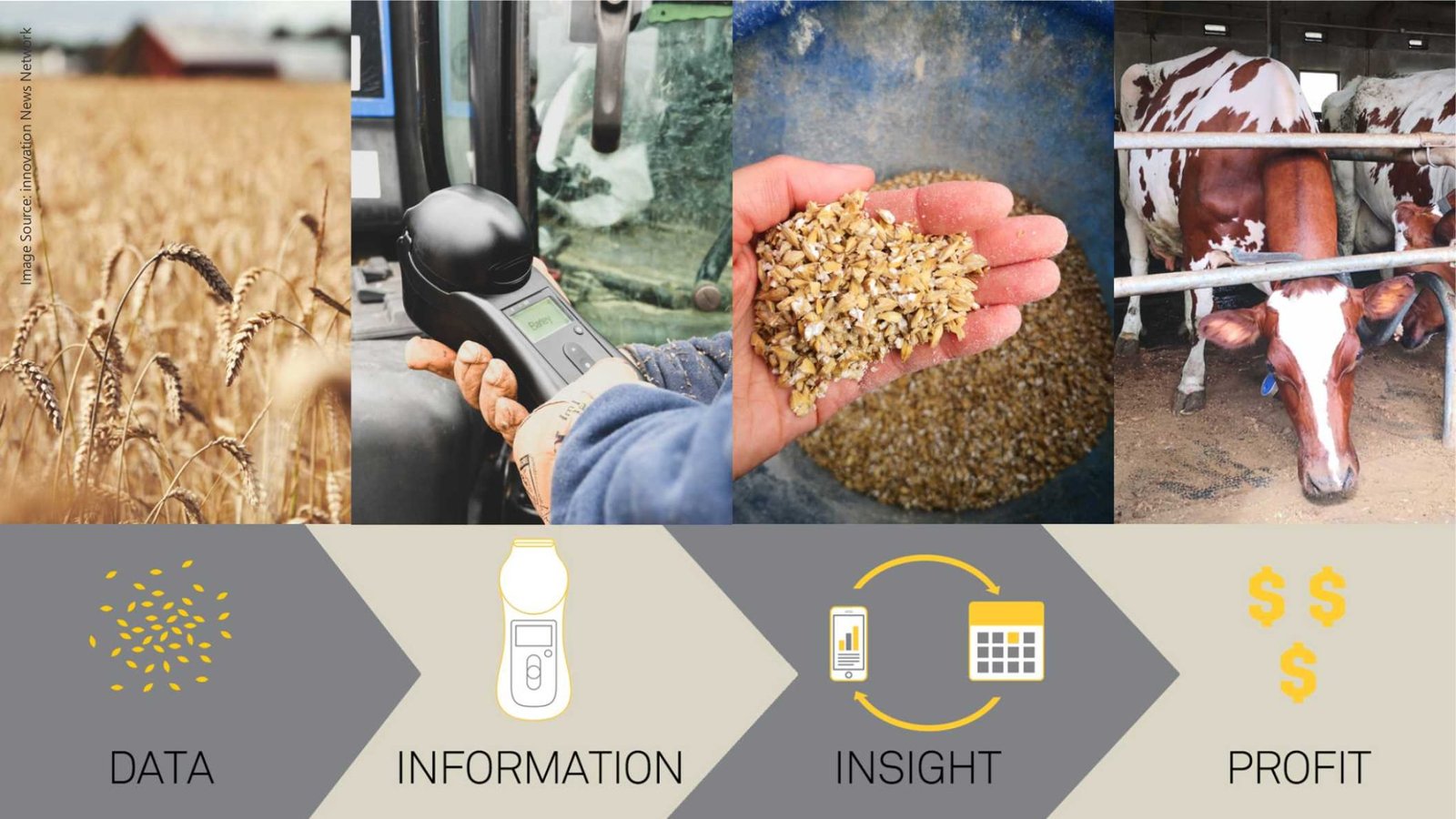 Future-Proofing Animal Nutrition: Trends in Feed Technology - Benison Media