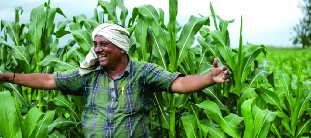 Farmers to Receive INR 23,500 for Shifting from Paddy to Maize ...