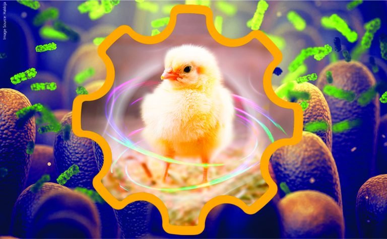 Poultry Intestinal Health: Are We Addressing the Right Areas? - Benison ...
