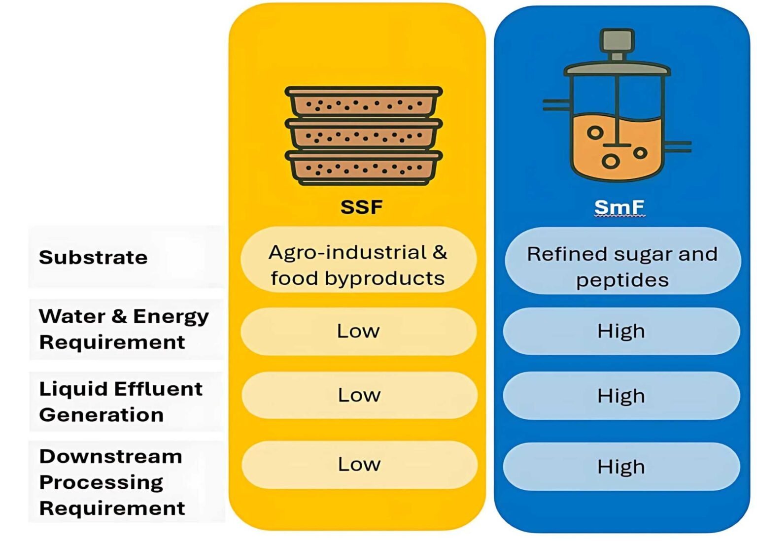Solid State Fermentation A Step Towards Sustainable Production 7424