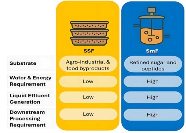 Solid State Fermentation A Step Towards Sustainable Production 4131