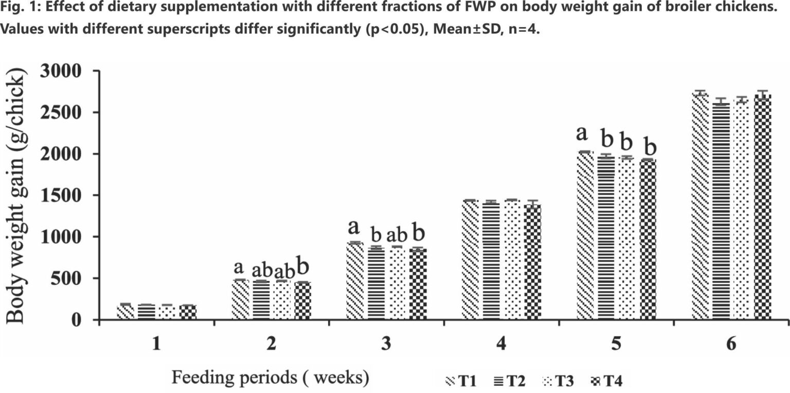 Scope of Fermented Whey Protein in Broiler Chicken Diets - Benison Media